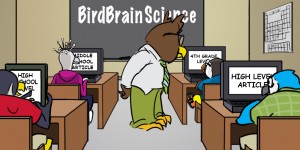 BirdBrain Science Blog – All things BirdBrain